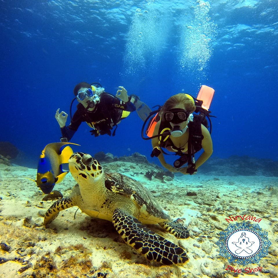 NIRVANA DIVE SHOP Home - NIRVANA DIVE SHOP